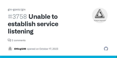 Unable To Establish Service Listening Issue Gin Gonic Gin GitHub