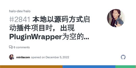 本地以源码方式启动插件项目时出现PluginWrapper为空的情况 Issue halo dev halo GitHub