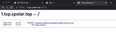 windows搭建webdav服务，并内网穿透公网访问【无公网ip】 自己搭建局域网webdav csdn博客