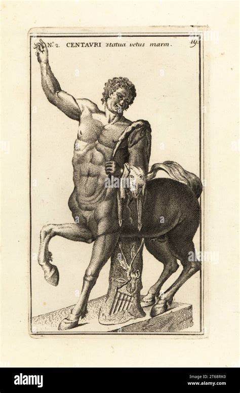 Statue Dun Jeune Centaure Nessus Avec Pedum Et Pelt Danimaux Par Un