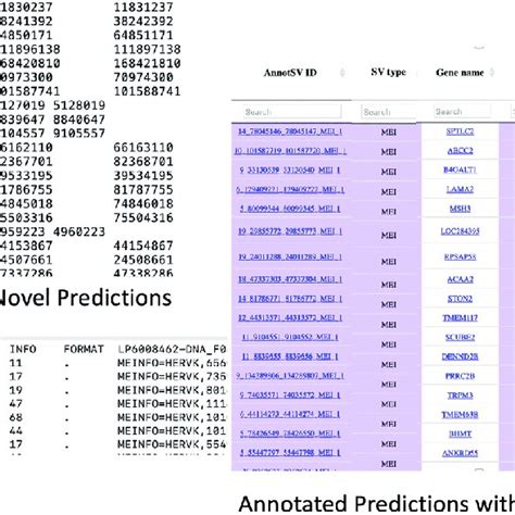 Different Output Options Predictions Annotated With Overlapping Genes