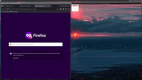 Potential Identity Leak Popup Is Broken By Sways Window Tiling · Issue 292 · Hackademix