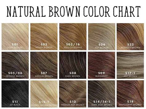 Natural Hair Shades Chart Educational Chart Resources
