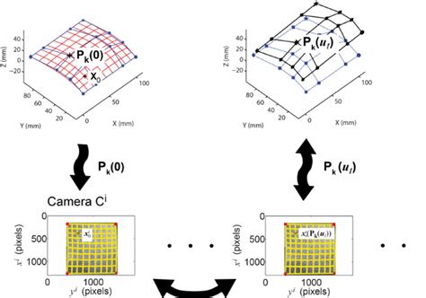 Measurement Of 3d Displacement Elds Via Global Stereocorrelation Download Scientific Diagram