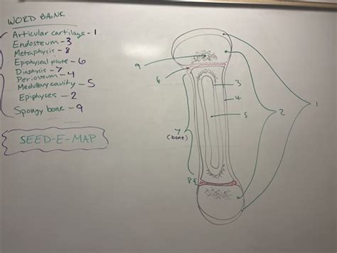 Unit 3 Lecture Exam Flashcards Quizlet