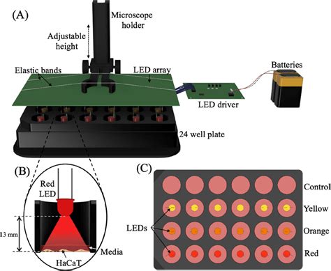 Visible Light Exposure System A Schematic Showing The Experimental Download Scientific