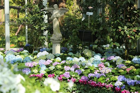 ไม้ดอกเมืองหนาวนานาพรรณในเทศกาลชมสวน “แอ่วสุขใจ I Wanna Be E ”