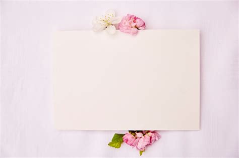 봄 화이트와 핑크 꽃로맨틱 여성 문구 카드 모형 결혼식 생일 초대장 어머니의 날은 카드 개념을 조롱합니다 공간을 복사합니다 위쪽 보기 0명에 대한 스톡 사진 및 기타 이미지