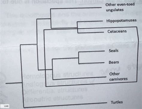 Biol 112 Janes Final Exam Review Flashcards Quizlet