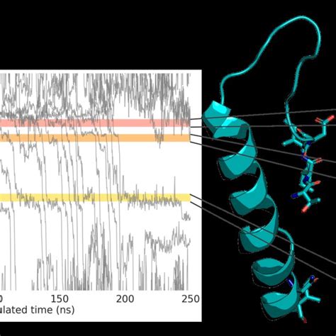 Schematic Of Cation Binding Sites Identified In The Ca 2 Selective