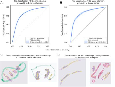 Efficient And Generalizable Prediction Of Molecular Alterations In