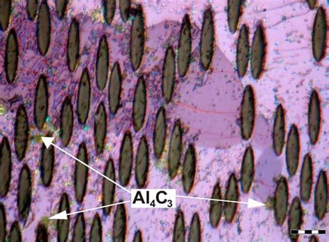 3 Microstructure Lm Polarized Light Of Cross Sectioned Alnicf