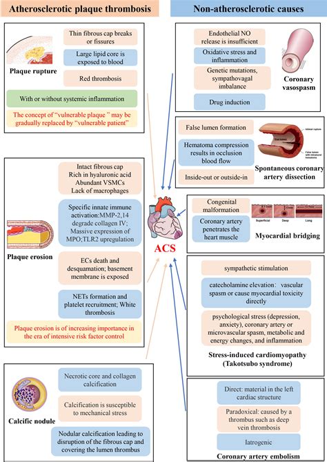 Acs Guidelines For Overlapping Surgery At Derrick Kleinman Blog