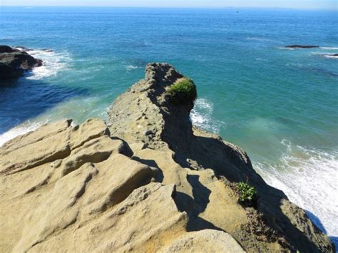 Table Rock Beach In Laguna Beach Ca California Beaches
