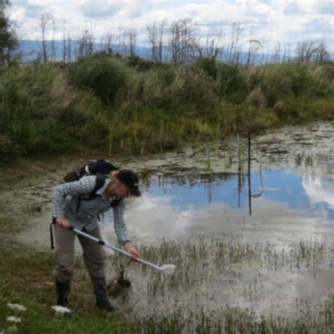 Julia Kasper Entomology Cuartor Phd Museum Of New Zealand Te