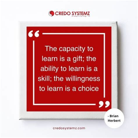 Credo Systemz On Linkedin Programmerlife Codingcommunity Futuretech Softwareengineer