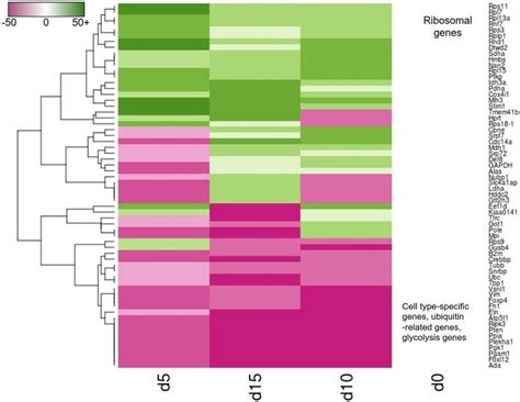 A Heatmap With The Application Of Standard Clustering Analysis