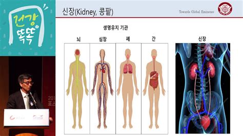 건강똑똑 신장이식편 강의1 신장의 구조와 기능 Youtube