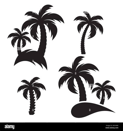 Vector Set Of Tropical Palm Trees Silhouettes Illustration Isolated On