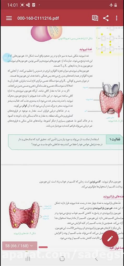 زیست۱۱ فصل۴ غده فوق کلیه وغده لوزالمعده