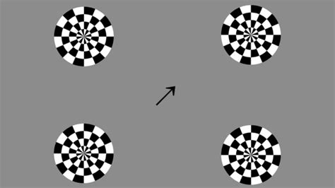 SSVEP Experiments Wiki