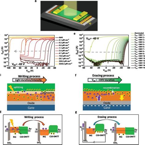 A Schematic Illustration Of Ng‐based Opt Memory Devices During Download Scientific Diagram
