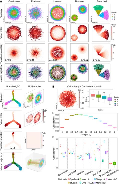 Inferring Cell Trajectories Of Spatial Transcriptomics Via Optimal Transport Analysis Cell Systems