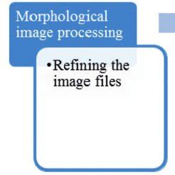 Logical Flow Chart Of The Methodology Download Scientific Diagram