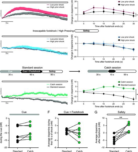 Dopamine Encodes A Safety Prediction Error Signal A Dopamine