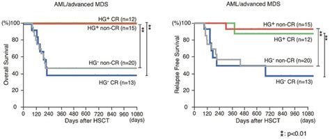 The Presence Of Hematogones Marks A Group With Good Prognosis In Download Scientific Diagram