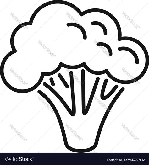 Salad Broccoli Icon Outline Vegetable Royalty Free Vector