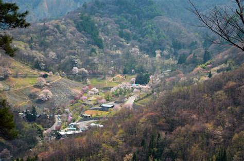 桜仙峡 GANREF