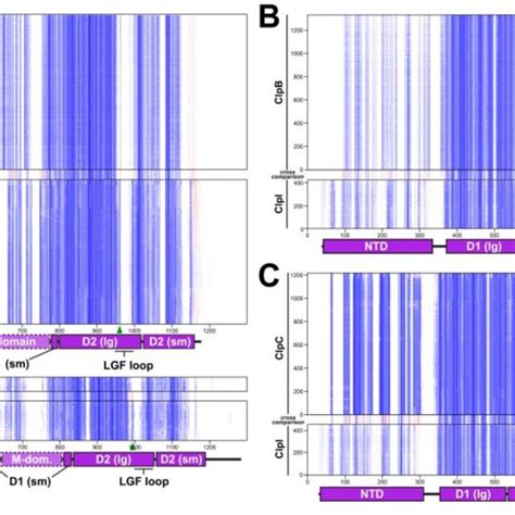 comparison of sequence conservation patterns multiple sequence