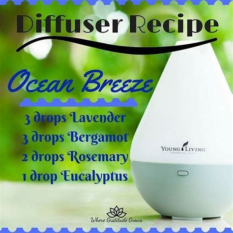 Diffuser Recipe Ocean Breeze