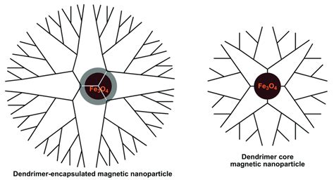 Dendrimer Encapsulated Left And Dendrimer Core Magnetically Active Download Scientific