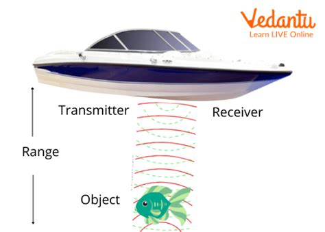 Sonar Wave Learn Definition Properties And Facts