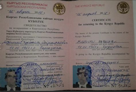 Киргизия — Отель ФМС — Справка по продуктам Контура