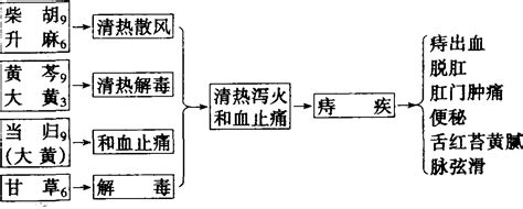 11 乙字汤 中药学 医学