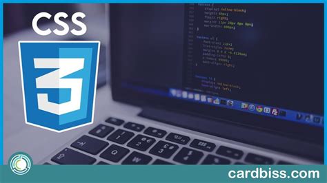 ¡aprende A Diseñar Páginas Web Con El Curso De Css Desde Cero Cardbiss