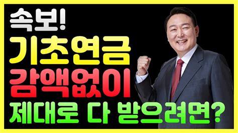 기초연금 감액 3단계 제대로 알자 기초연금 감액없이 다 받는법 Youtube