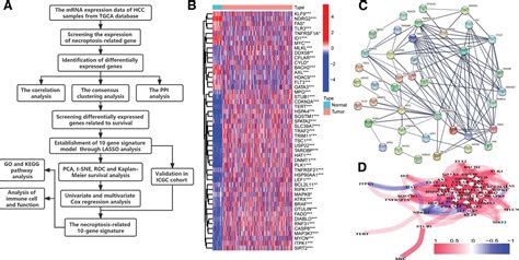 Identification And Validation Of The Necroptosis Related Gen Medicine