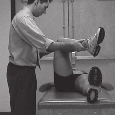 External Rotation Download Scientific Diagram