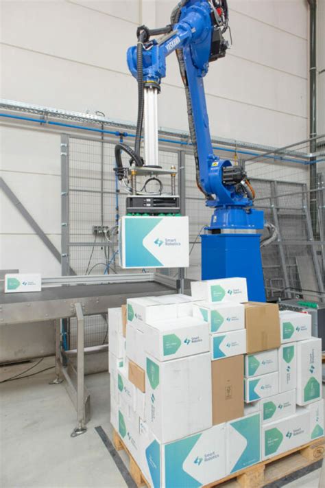 Smart Mixed Case Palletizer Smart Robotics