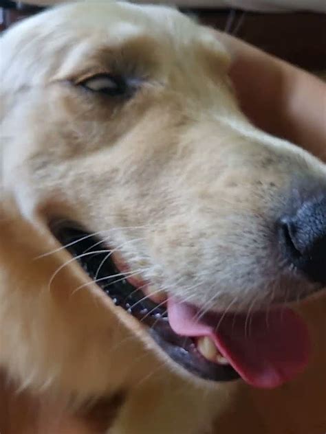 짱구머리빙글빙글 Youtube