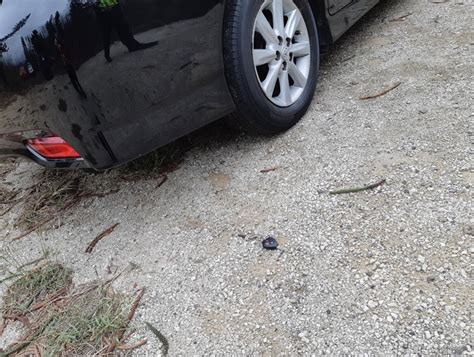 眼尖警撿拾遺落車鑰匙 順利交還失主手上 澎湖e傳媒
