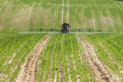 Какие новые пути роста эффективности растениеводства