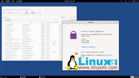 Tails 正式发布隐私保护新高度强化加密与应用更新 Linux迷