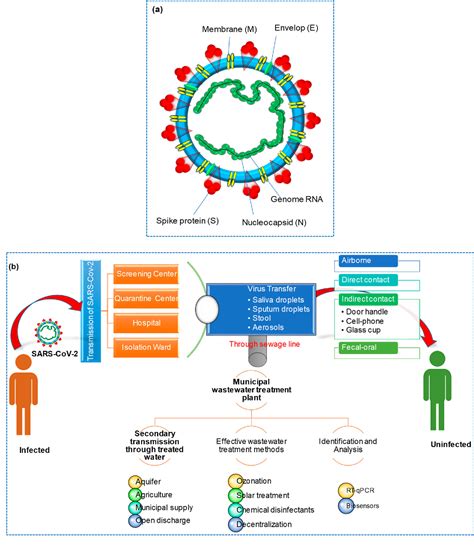 Figure 2 From Sars Cov 2 Detection And Inactivation In Water And