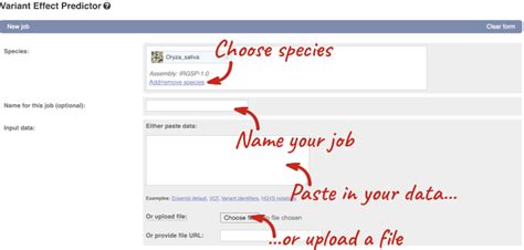 Annotating Genetic Variants With The Vep Demo